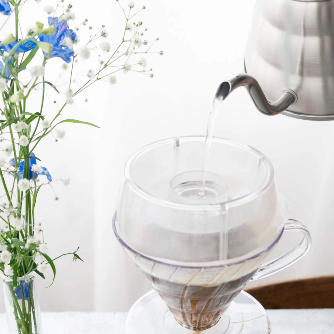 Hario V60 Drip Assist – Basic Barista