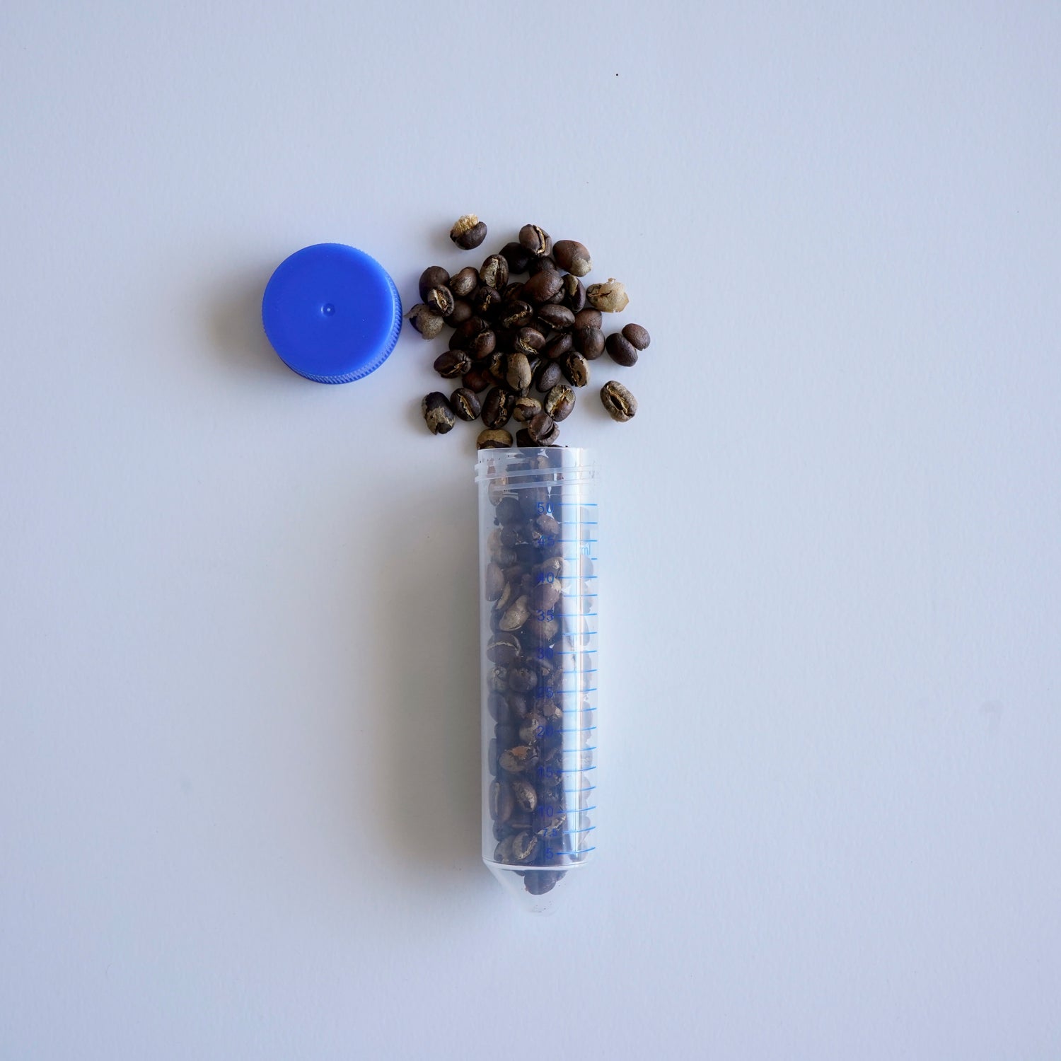 Basic Barista: Pour Over Coffee Equipment Supplier