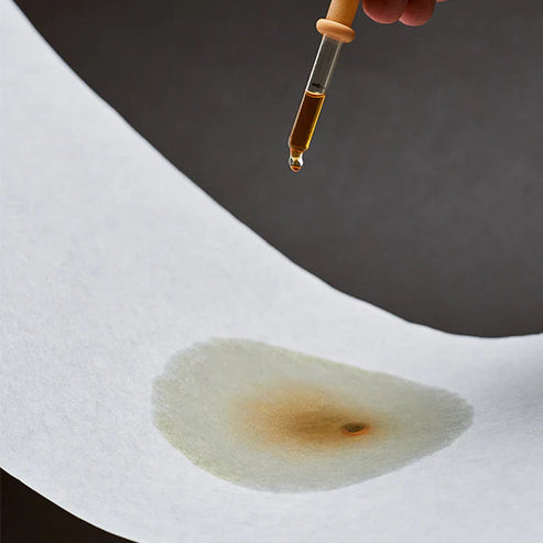 Sibarist Fast Flat Specialty Coffee Filters – Basic Barista